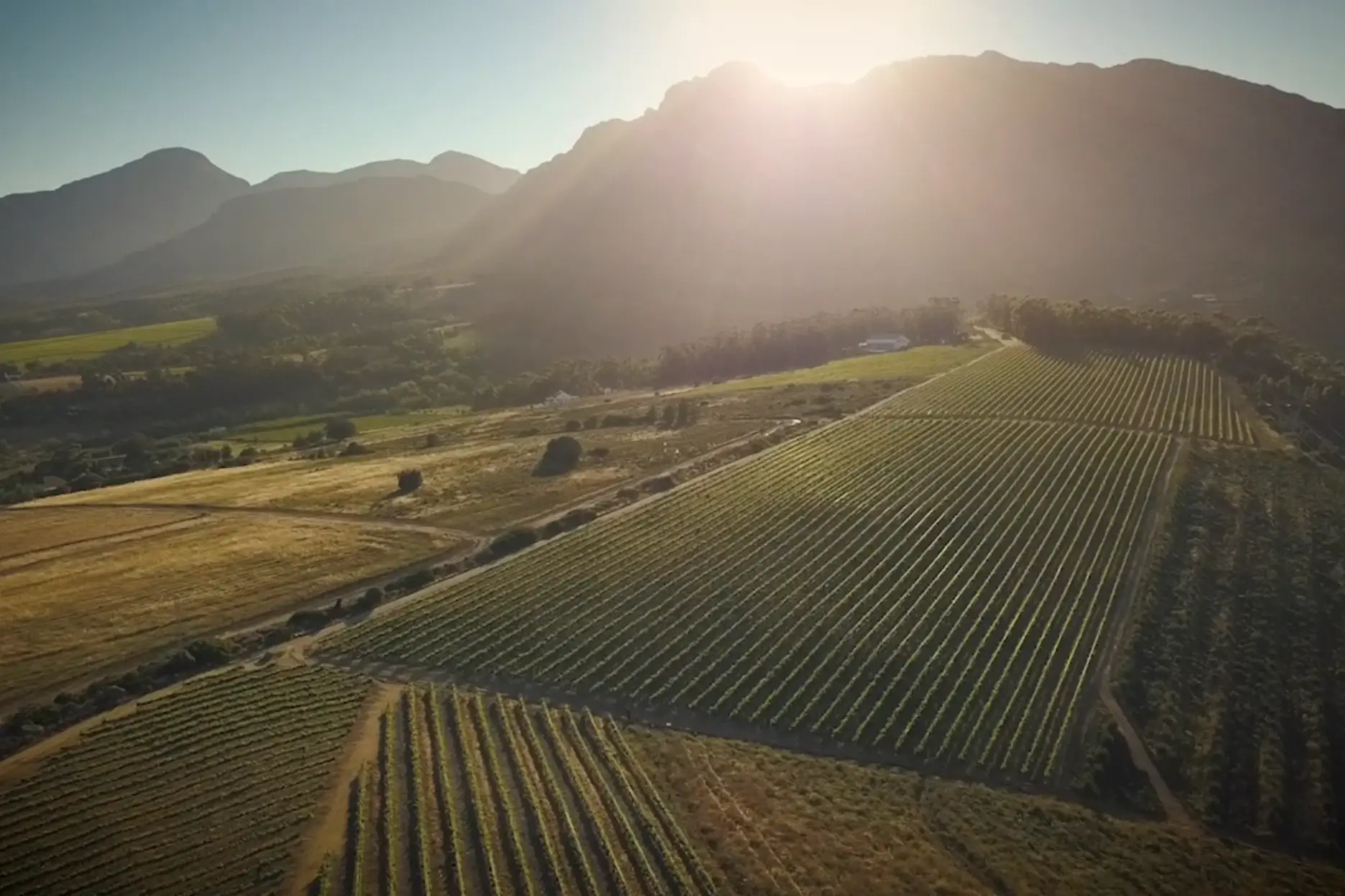 Imbuko Wines – Solarise Africa